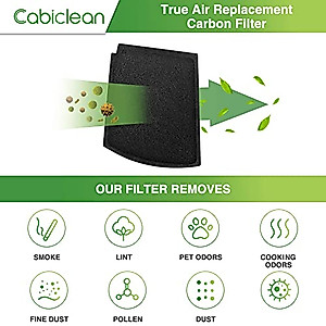 True Air Replacement Carbon Filters Compatible with Hamilton Beach Pet TrueAir Purifier Odor Eliminators Model 04384, 04386, 04532GM, 04530G, 04530GM & 04531GM,Compared to part #04234G (6-Pack)
