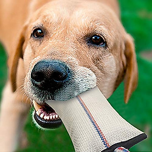 Tough Dog Toys for Aggressive Chewers,Dog Chew Toys,Dog Tug Toy,Firehose Dog Toys,Interactive Dog Toys for Large Dogs,Dog Squeaky Toys with Strong Cotton Rope Handle,Pet Toys for Small Dog Toys Pack 2