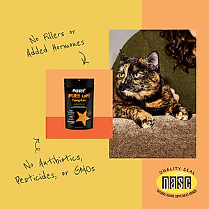 Diggin' Your Dog – Firm Up Pumpkin for Dogs & Cats – Fiber Supplement with Pumpkin & Apple Fiber for Cat & Dog Digestive Support – Made in USA, 1 oz