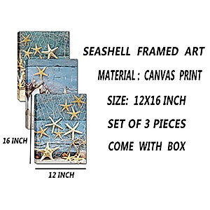 Starfish picture Bathroom wall decor Seashell Canvas Wall Art Artwork for Bedroom Office Living Room Decor 3 Pieces Beach Coastal Conch Nautical Print Woodern Framed Painting Ready to Hang 12x16 inch