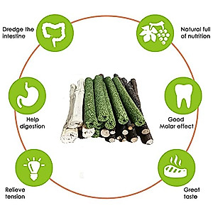 sharllen Chew Toys Molar Sticks Animals Cleaning Teeth Natural Apple Timothy Hay Sweet Bamboo Sticks 3 Types of Combined Wood Toys Squirrel Rabbit Chinchilla Guinea Pig Hamster Gerbil Parrot (500g)