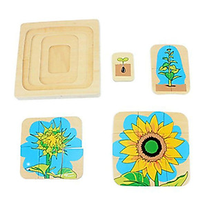 Montessori Children Wood Plant Education Toy Baby Toddler Life Cycle of Sunflower Puzzles Jingsaw Preschool Brinquedos Juguets