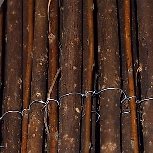 Kingfisher WSS100 Willow Screening, 1 x 3 m, 2950x1x100 cm, Transparent