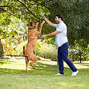 Rachael Ray Nutrish Big Life Dry Dog Food, Savory Chicken, Barley & Veggies, 40 Pounds