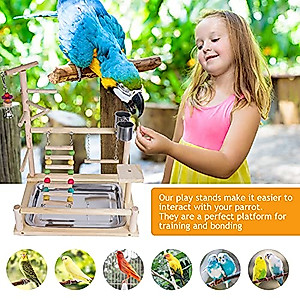 RoseFlower Parrots Bird Wooden Playstand, Birdcage Playground Play Gym Parakeet Playpen Ladder with Feeder Cup and Tray, Bird Toys Swing Exercise Toy #4