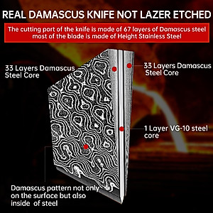 Japan Knife, Japanese Damascus Meat Cleaver Knife 7 Inch VG10 67-Layers Super Steel Sharp Knife, Non-Slip Ergonomic Pakkawood Handle with Gift Box