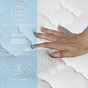 Sdoodo Queen Mattress, 10 Inch Hybrid Mattress with Memory Foam and Individual Pocket Springs, Medium Firm, Mattress in a Box