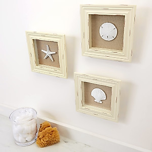 Beachy Set of 3 Shell Shabby Chic Shadow Boxes- Creamy Off White Frame 7" x 7" - Starfish, Sand Dollar and Clam Shell Mounted on Fabric Background by Tumbler Home