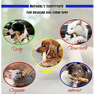 BENRIKIDS 2Pcs Size XL, Coffee Wood Dental Chew Stick & Tug for Dogs, Natural Dog Chew Toy Wood, Long Lasting and Stress Relief Dog Wood Chew Stick, 100% Natural, Safe and Healthy