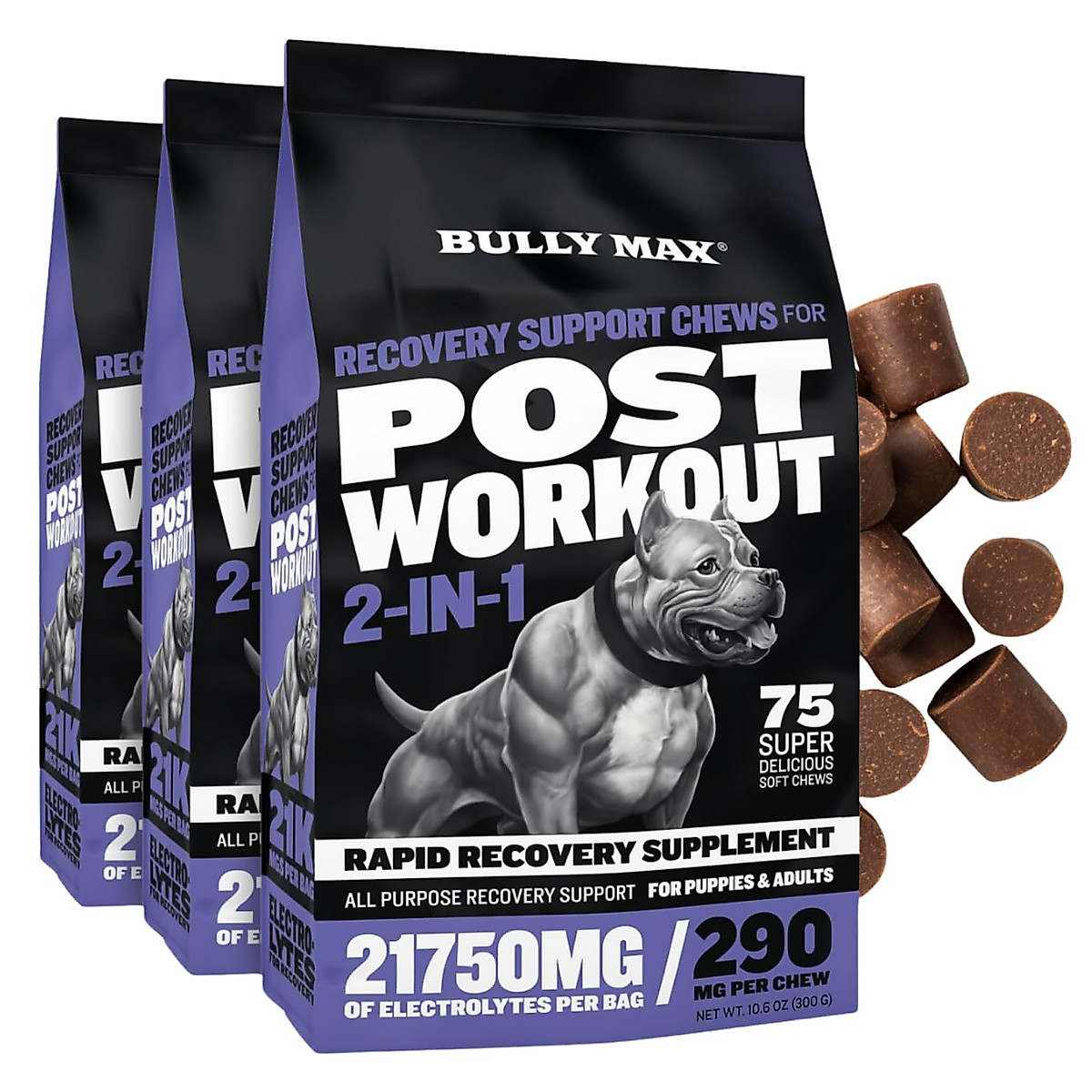 Bully Max 2-in-1 Post-Workout Recovery Support Chews - Dog Vitamins for Small & Large Breeds - Puppy and Adult Dog Hydration & Electrolyte Replenishment - 3 Packs, 75 Chews per Pack