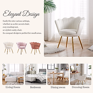 chairus Small Accent Chair for Living Room, Velvet Gold Cute Vanity Chair with Back for Makeup Room, Upholstered Shell Shaped Office Guest Modern Chair Arm Chair, Cream White