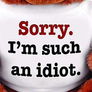 "SORRY I'M SUCH AN IDIOT" 13" Inch Teddy Bear - Cute And Cuddly : Funny Teddy Bear Couple Gift : Romantic Cute Teddy Bear Stuffed Animal
