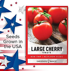Large Cherry Tomato Seeds for Planting Heirloom Non-GMO Red Cherry Tomato Plant Seeds for Home Garden Vegetables Makes a Great Gift for Gardening by Gardeners Basics