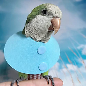 Barn Eleven Bird Collar Anti Bite Elizabethan Recovery Cone, Bird Neck Protector for Feather Plucking, Skin-Friendly Bird Neckwear for Parakeet Color Randomly (Green-cheeked Conure)
