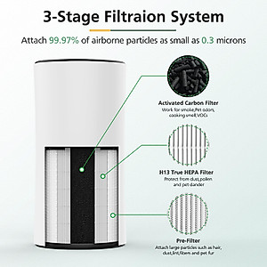 LV-H133 Replacement Filter Compatible with LEVOIT LV-H133 Air Purifier, 3-in-1 H13 True HEPA Filter, Part No. LV-H133-RF, 1 Pack