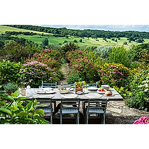 At Home in the Cotswolds: Secrets of English Country House Style