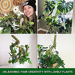 DUSPRO 42 Inch Tall Moss Pole for Plant Monstera Bendable Plant Stakes, Sphagnum Real Forest Moss Stick, Handmade Potted Plants Support/Trellis Perfect for Big Climbing Plants Indoor (Large Size)