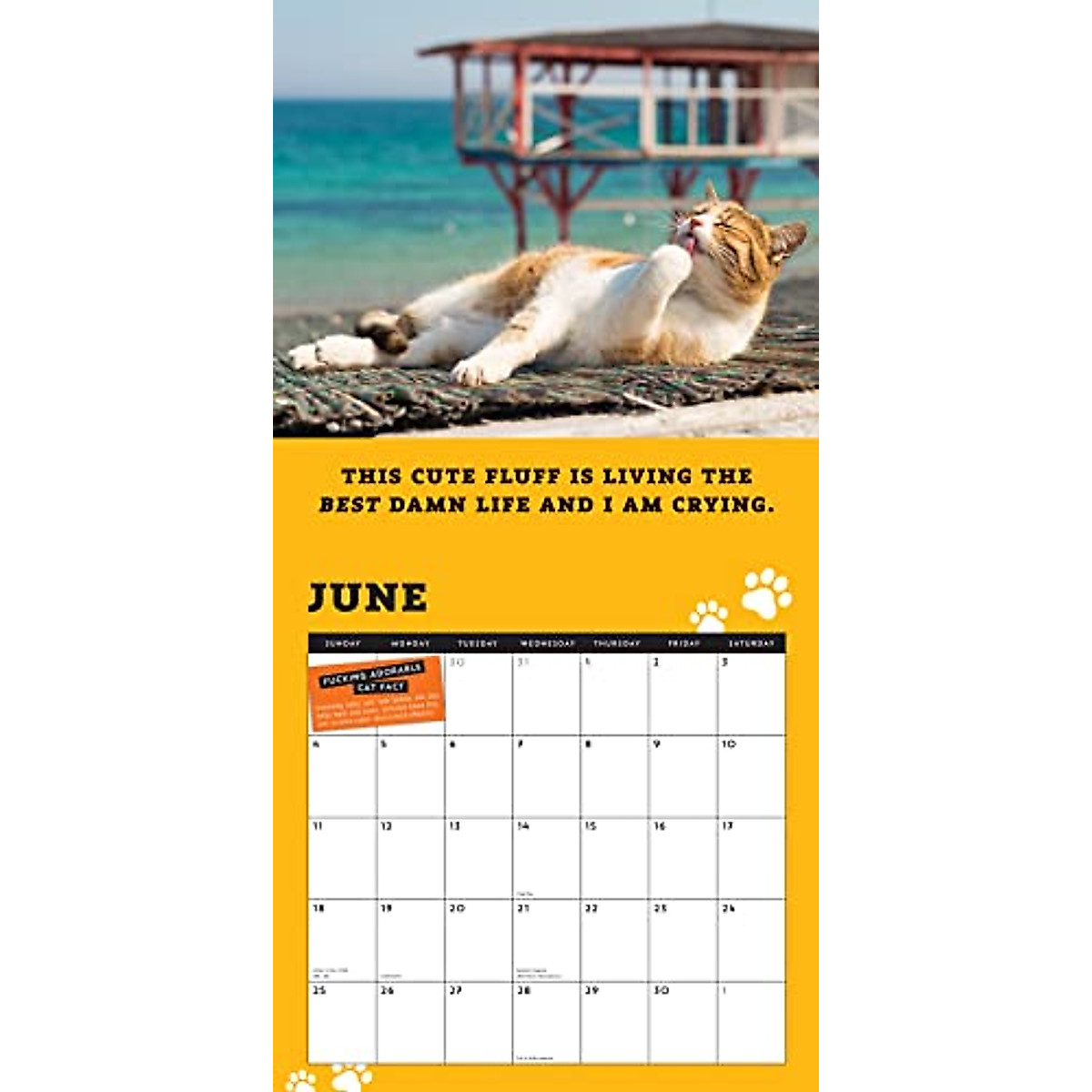 2023 Too F*cking Cute Cats Wall Calendar: A Year of D*mn Adorable Kitties (Funny Monthly Calendar & White Elephant Gag Gift for Cat Lovers)