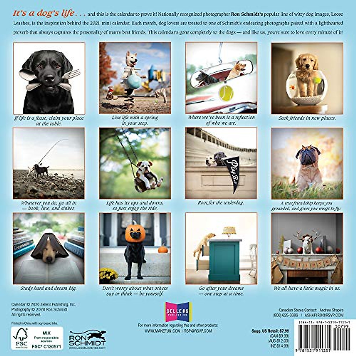 2021 Dogma: A Dogs Guide to Life Mini Calendar