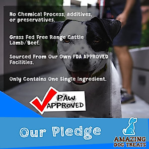 Amazing Dog Treats - Meaty Knee Cap Bones (5 Count) - Sourced from Premium Grass Fed Cattle - Knee Cap Bones for Dogs - Long Lasting Dog Chew Bones - Smoked Tasty Dog Bones for Aggressive Chewers