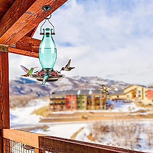 BOLITE 18001 Hummingbird Feeder, Glass Wild Hummingbird Feeders for Outdoors, Retro Edison Bulb Bottle, 25 Ounces, Green, Xmas Gifts for Bird Lovers