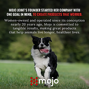 Mojo Joint Supplement for Dogs and Cats, Feline + Canine Food Grade Hip & Joint Supplement with Glucosamine and Chondroitin, Dog & Cat Mobility Supplement (Large, 16 oz)