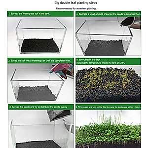 Zafina 3 Pack Aquarium Plant Seeds, Easy to Grow Aquatic Plant Seeds, Fast Growing Aquarium Carpet Seeds - Creates a Natural Ecosystem for Your Fish