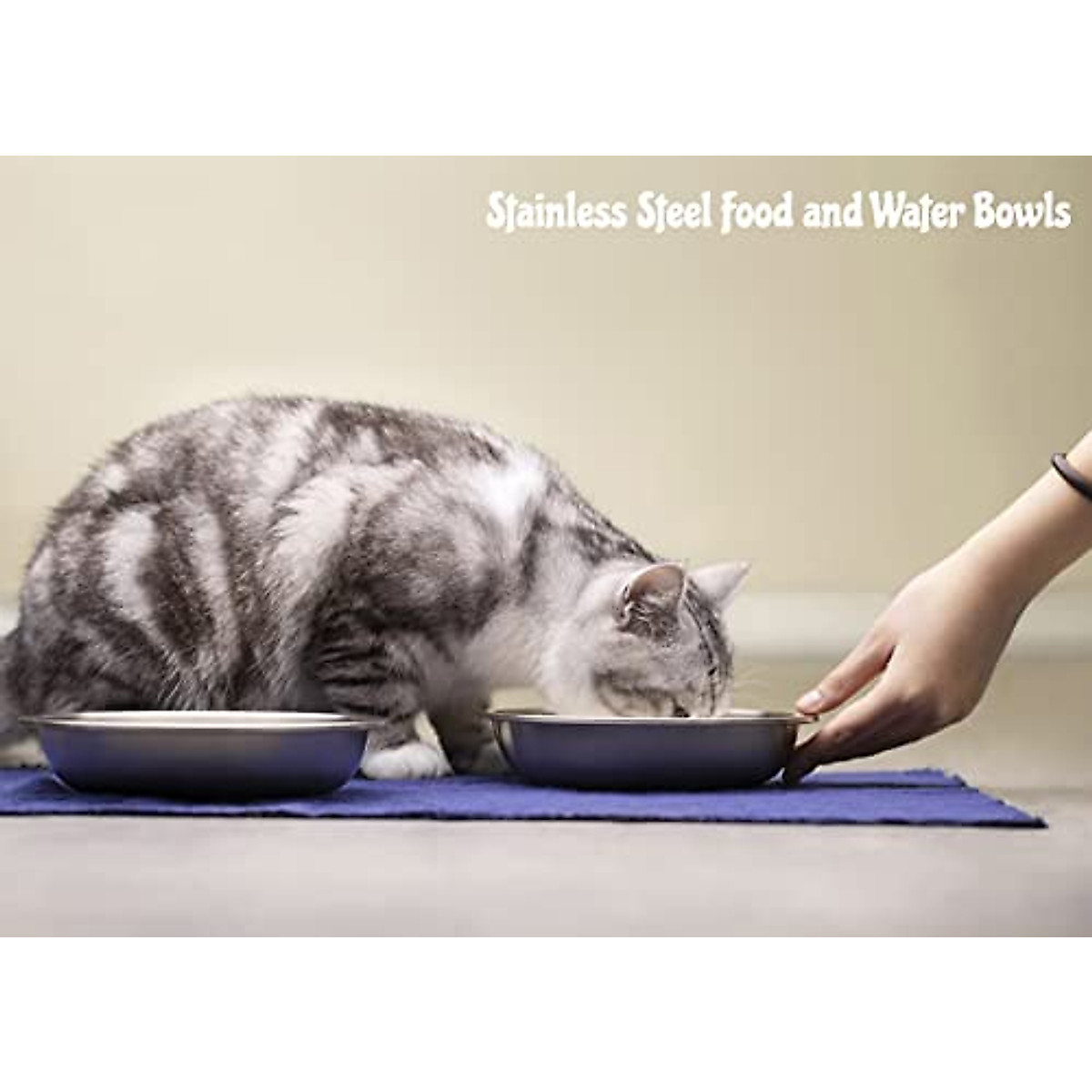 BiteKing Stainless Steel Cat Bowls, Whisker Fatigue Relief Cat Food Dish, Metal Shallow Wide Large Replacement Plate for Dog and Pet, Ideal for Raised Elevated Pet Feeding Station Stand