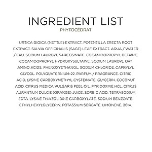 PHYTO Phytocédrat Purifying Treatment Shampoo, 8.45 Fl Oz