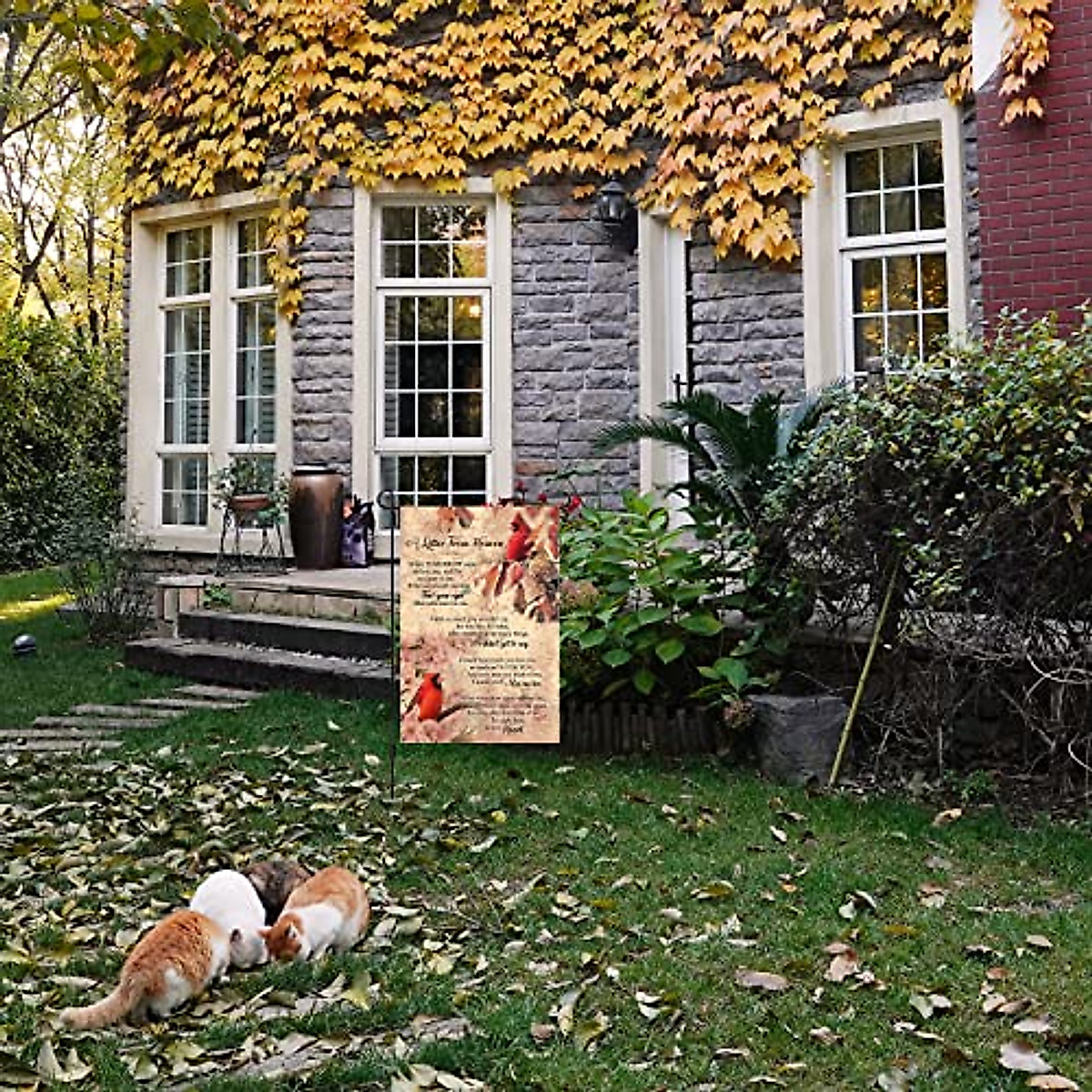 Snycler Cardinalis Garden Flag, A Letter from Heaven, Northern Cardinal Daily Life in Memory Commemorate Yard Flag 12 x 18 Inch Vertical Double Sided Outdoor Decoration