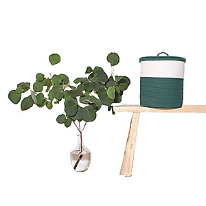 Yimi's Dream Basket with Lid, Medium Woven Baskets for Storage and Organizing, Small Cotton Rope Basket with Handle for Baby Gifts, Laundry, Toy (12''D * 13.5''H, Green & White)