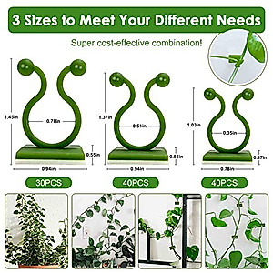 Lasyman Plant Clips-Plant Climbing Wall Fixture Clips 110PCS, Invisible Clips for Climbing Plants，Self-Adhesive Plant Wall Clips for Plant Support, Sticky Plant Fixture Clips Plant Holder for Pothos