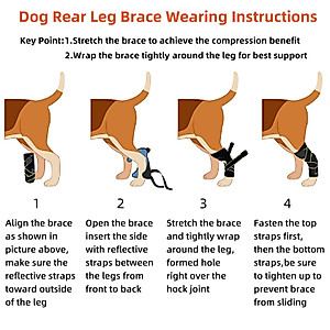 PETNEDO Dog Canine Rear Leg Hock Joint Brace for Medium and Large Dog, Compression Wrap with Straps & Metal Spring Strips Protects Wounds, Heals, Prevents Injuries and Sprains from Arthritis-S