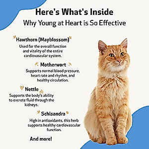 Pet Wellbeing Young at Heart for Cats - Vet-Formulated - Supports Cardiovascular (Heart & Circulatory) Health - Natural Herbal Supplement 2 oz (59 ml)