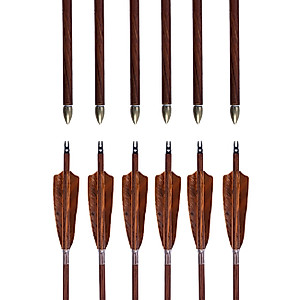PANDARUS Archery 31-Inch Carbon Hunting Arrows, 4-Inch Turkey Feather Fletching with Replaceable Points, Targeting Practice Arrows Spine 500 for Recurve & Traditional Bows (12 Pack)