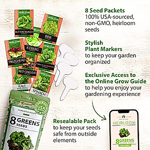 Lettuce & Salad Greens Seed Vault - 4,000+ Non-GMO Vegetable Seeds for Outdoors or Indoors - Romaine, Iceberg Lettuce Seeds for Planting, Kale Spinach & More: Hydroponic Home Garden Seeds (8 Variety)