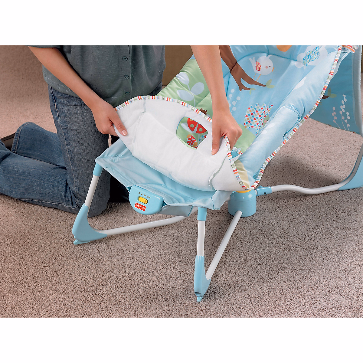 Fisher-Price Soothe & Go Bouncy Seat