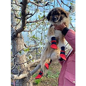 LONSUNEER Dog Boots Breathable Protect Paws Soft Nonslip Soles Set of 4 Size Large Color Red
