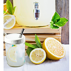 Jarming Collections Travel Glass Reusable Smoothie Cups with Lids and Straws - Glass Smoothie - Mason Jar with Lid and Straw, Freezer Safe Smoothie Wide Mouth Mason Jar Drinking Glasses, (2, 16oz)