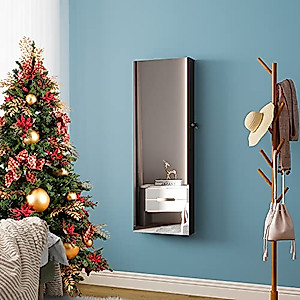 HNEBC Jewelry Organizer with 6 LED Lights, Jewelry Armoire with Mirror, Full Length Mirror Jewelry Cabinet with Jewelry Storage, Wall Mounted/Door Mounted (brown)