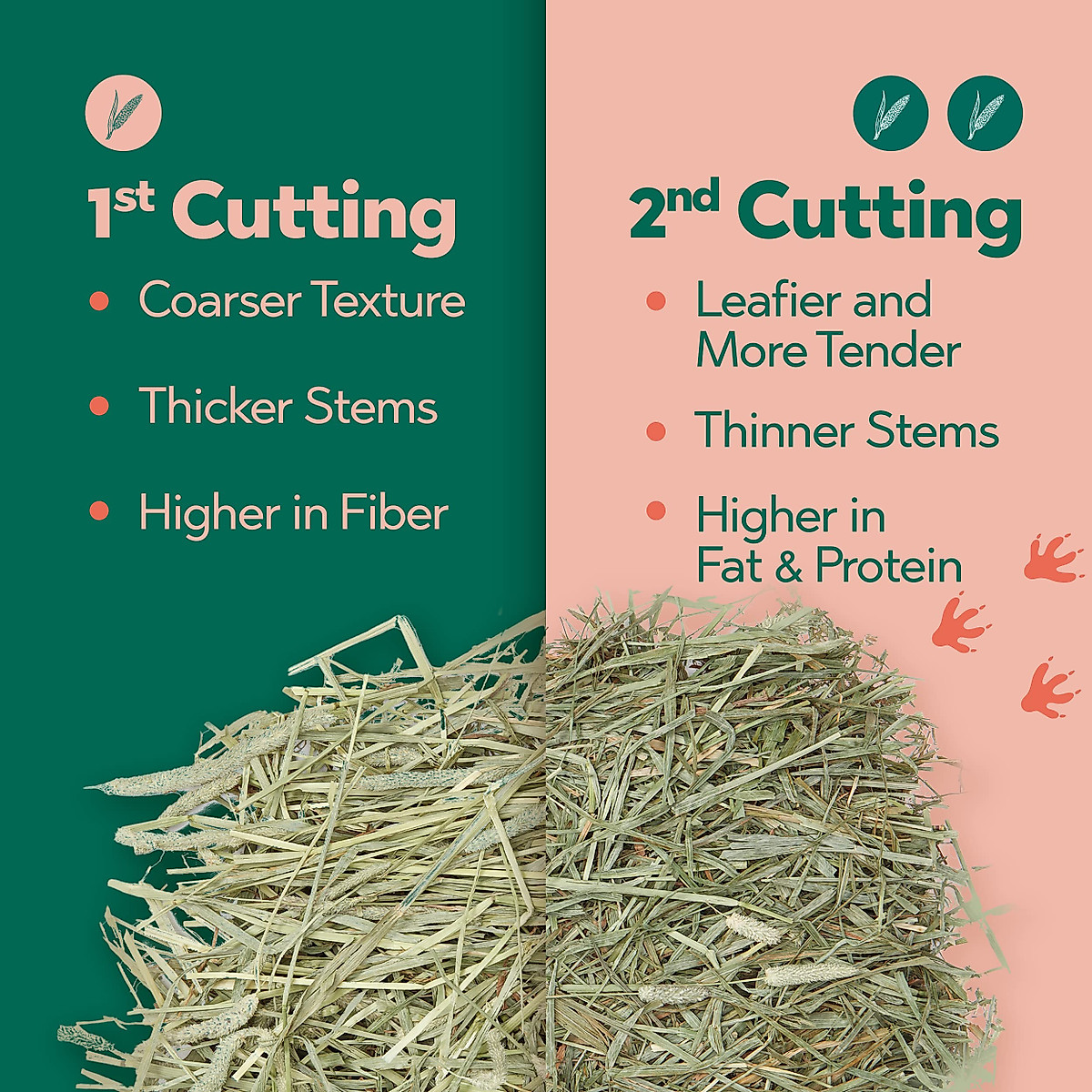 Andy by Anderson Hay Timothy Hay, 15 lbs, Premium Rabbit Food for Balanced Nutrition