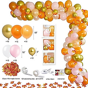 BSMIEFUS Little Pumpkin 1st Birthday Party Decorations Supplies, Pumpkin First Birthday Decorations for Autumn Fall 1st Birthday, Halloween Thanksgiving 1st Birthday, Little Pumpkin 1st Birthday