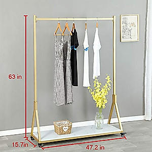 FURVOKIA Modern Simple Heavy Duty Metal Rolling Garment Rack with Wheel,Retail Display Clothing Rack with Wood, Single Rod Floor-Standing Hangers Clothes Shelves (47.2 L)