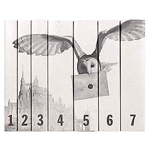 Juniper Books Harry Potter Boxed Set: Castle and Owl Edition | 7-Volume Hardcover Book Set with Custom Designed Dust Jackets for Books published by Scholastic| J.K. Rowling