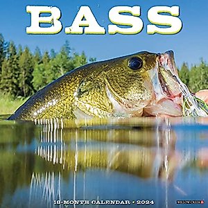Willow Creek Press Bass Monthly 2024 Wall Calendar (12" x 12")