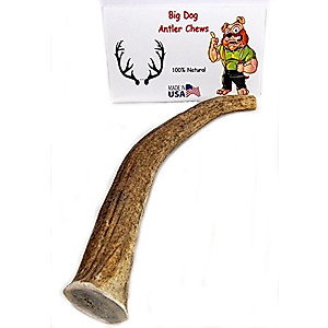 Big Dog Antler Chews Elk Antler Dog Chew, Extra Large Tine, 8 inches to 12 inches, XL - Great for Your Large to Extra Large Dogs and Puppies Brand