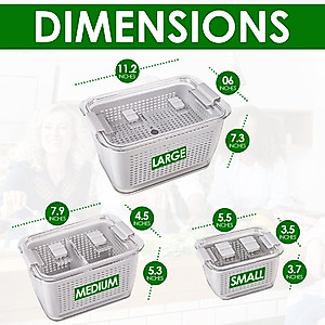 food containers storage