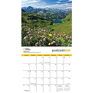 National Geographic Germany 2019 Wall Calendar