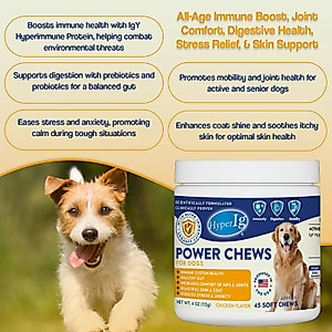 HyperIg Power Chews for Dogs - Chicken Flavor, IgY Hyperimmune Protein for Immune System Health, Joint Support, Stress & Anxiety Relief, and Healthy Skin & Coat – 45 Soft Chews - 113 Grams