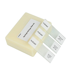Prepared Apologia Biology Microscope Slides Set, Pack of 16pcs Specimens Specifically for Biology Course (Apologia Slides)
